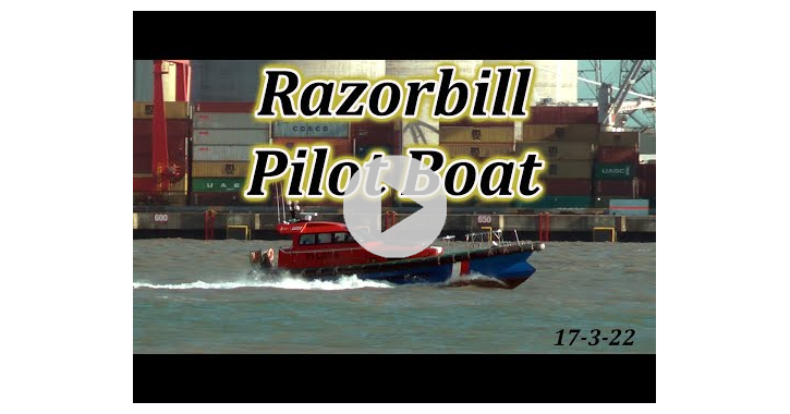Razorbill Pilot Boat Southbound On The Mersey - Marine-Pilots.com