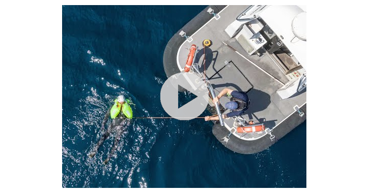 Harken Man Overboard Rescue System - Marine-Pilots.com