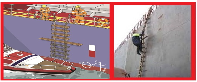 Checklist of Root-Cause Pilot fall from the ships Ladder - Marine ...