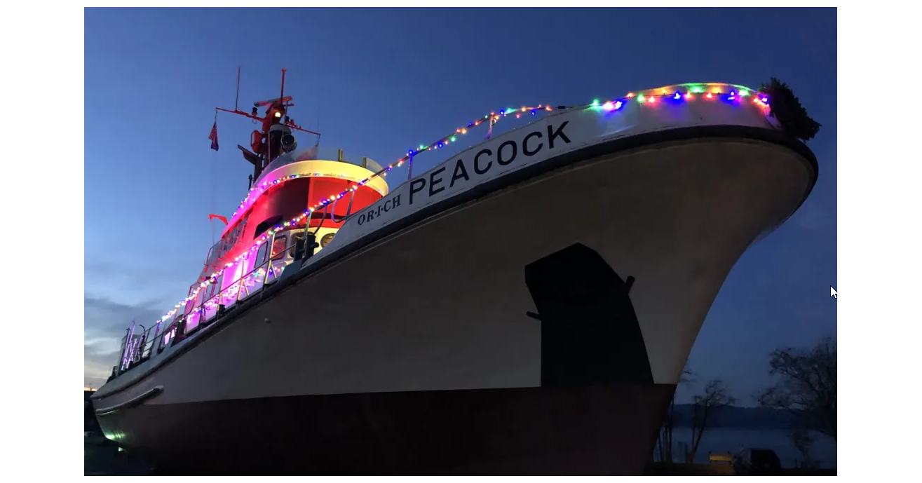 Ship Report Podcast: The pilot boat Peacock: a game changer for ...