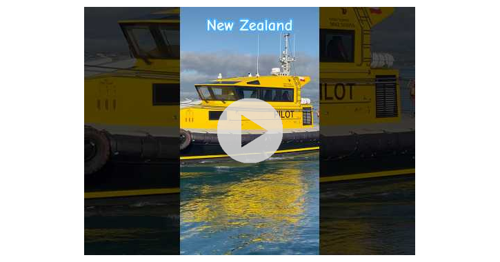 Pilot Boat returns (New Zealand) - Marine-Pilots.com