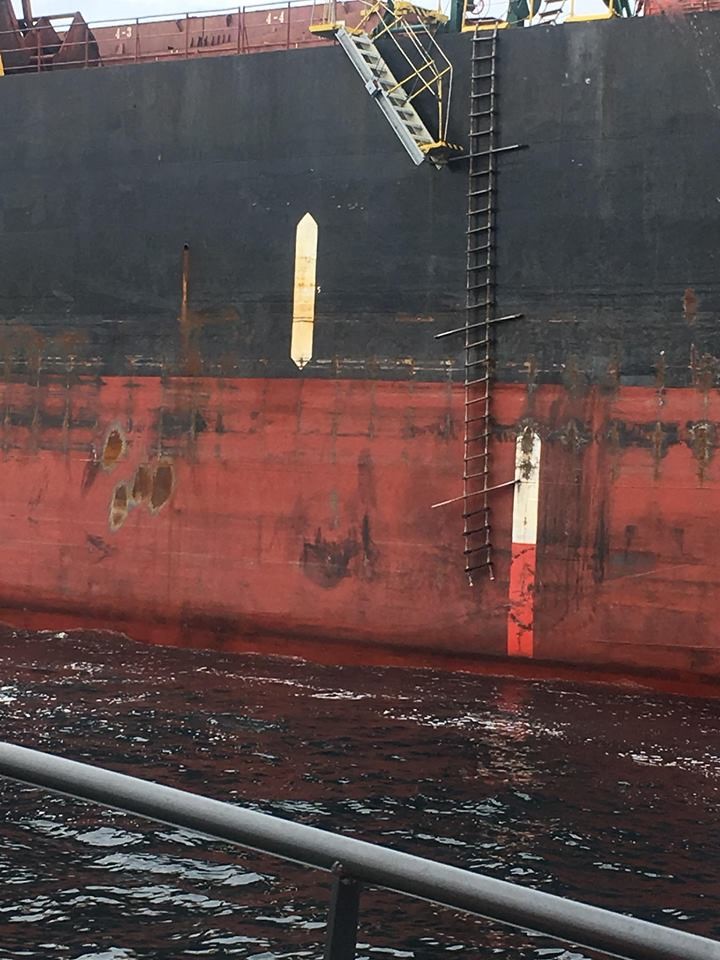 Origins of the IMPA pilot mark - Marine-Pilots.com