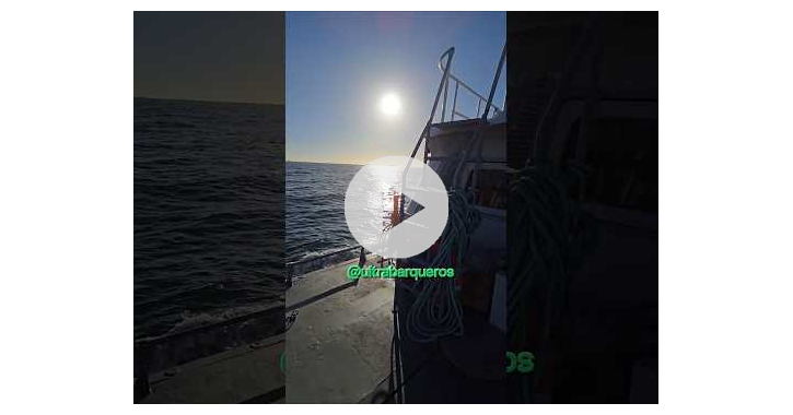 Bulk Carrier 'NAMURA QUEEN' & Pilot Boat 'SEA LIGHT', Recalada/ 02.04. ...