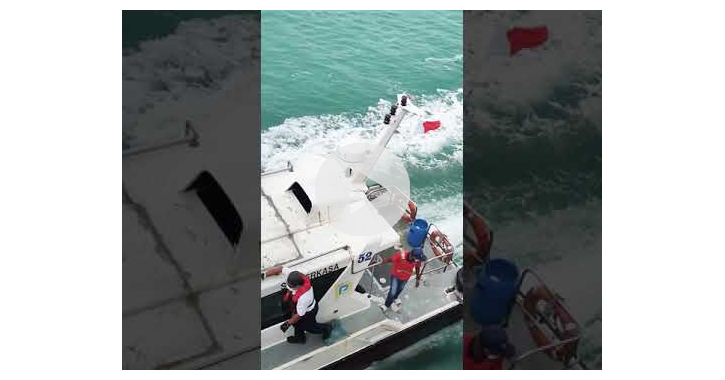 Harbour Pilot boarding on ship with Pilot ladder - Marine-Pilots.com