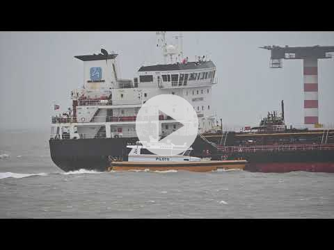 Pilot Boat Draco. Port of Rotterdam, February 23, 2020. - Marine-Pilots.com