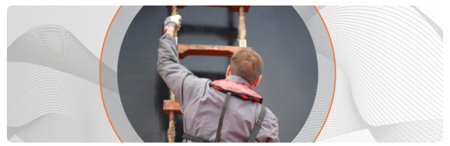 Webinar: Pilot Ladder Arrangements: A Pilot's Perspective on Best ...